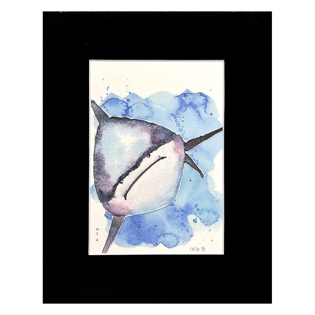 Beach Life Art Black Framed Watercolor Print, 8" x 10" - Shark