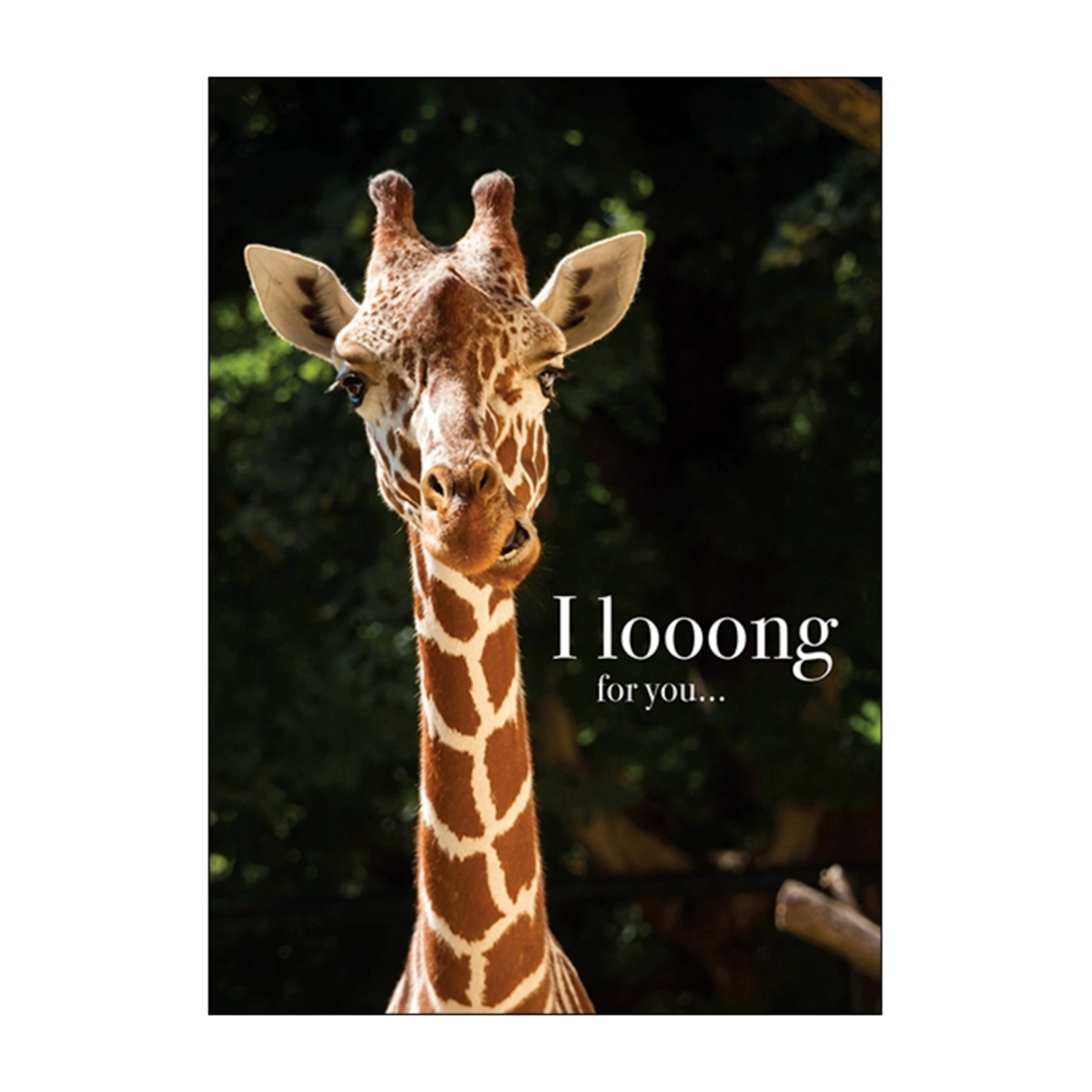 I Looong For You Animal Greeting Card