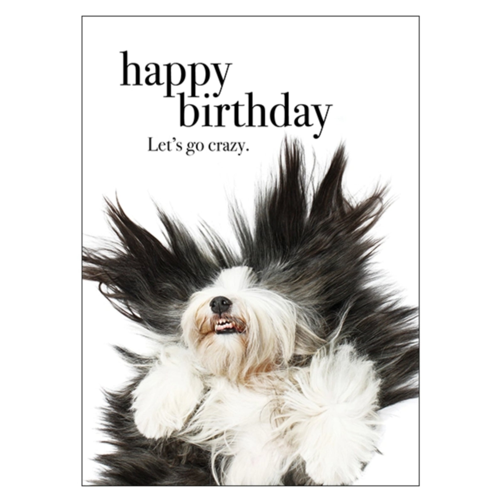 Go Crazy Birthday Card